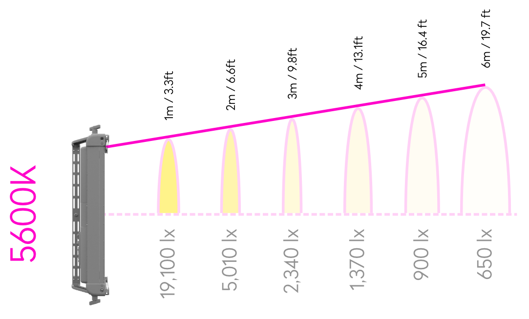 Vortex8 – Creamsource