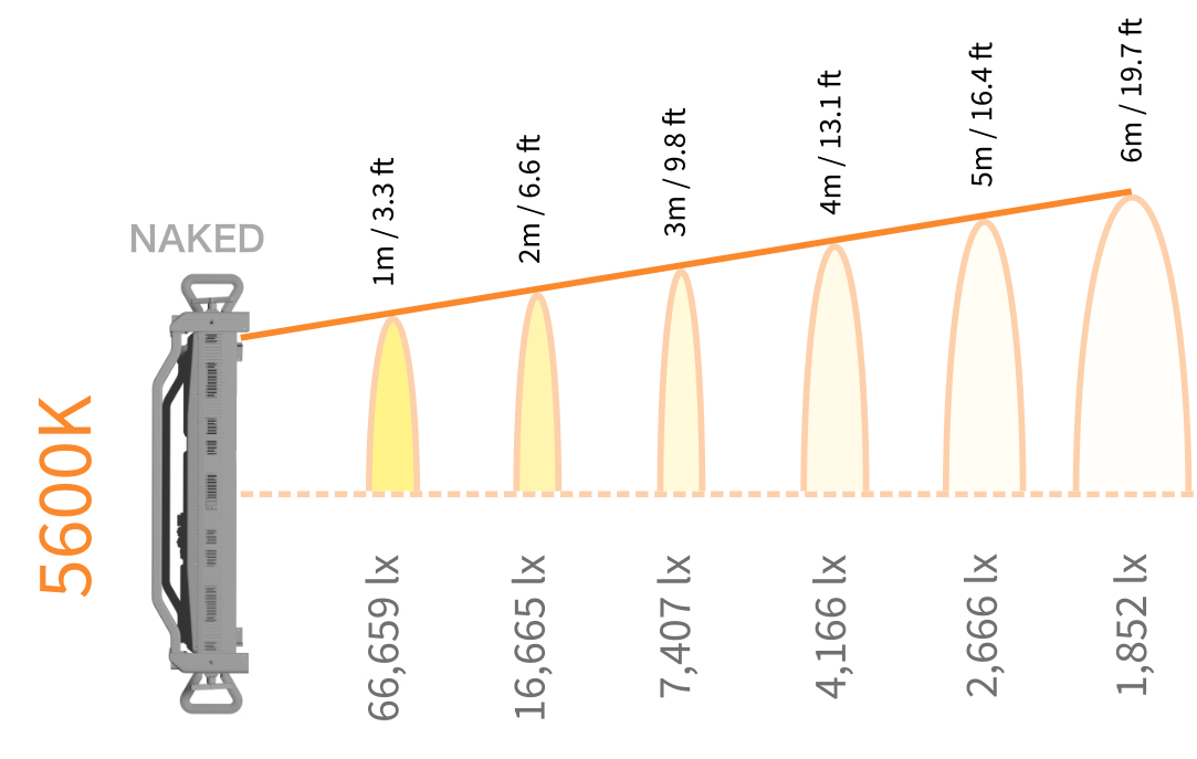 Vortex24 – Creamsource